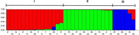 Analysis Performed Using An Admixture Model In Structure 234 Software