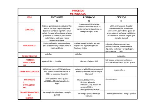 Cuadro Procesos Metab Ã³licos Llenar Ok Procesos Metabolicos Item