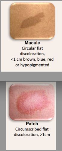 Dermatology Flashcards Quizlet
