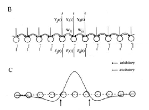 Figure 1 From Nonlinearities Within The Cat Lgn Cell Receptive Fields In Simulated Network With