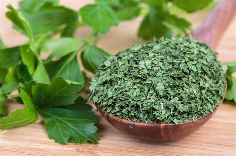 Ароматные и полезные приправы 10 трав которые стоит включить в свой рацион Вокруг Света