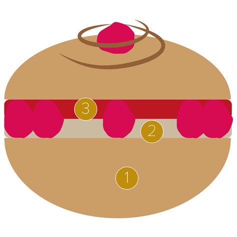 Raspberry And Chocolate Macaron Pastry Satro Quality Drinks