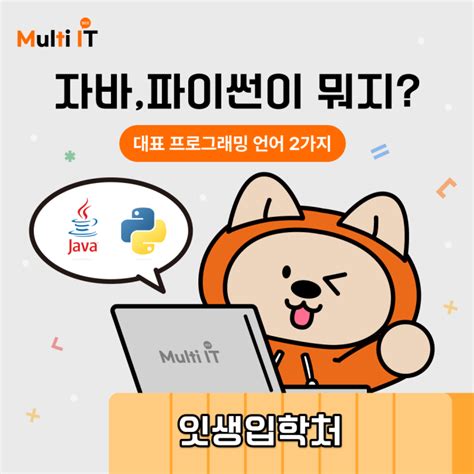 잇생입학처 프로그래밍 언어 기초 자바 파이썬 입문 가이드 네이버 블로그 잇생입학처 프로그래밍 언어 기초 자바 파이썬 입문 가이드 네이버 블로그