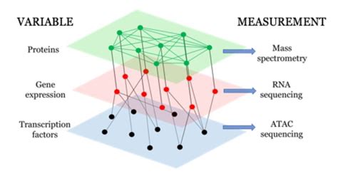 Complex Networks Dynamics And Control Linköping University