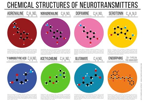 Chemical Structures Of Neurotransmitters Compound Interest