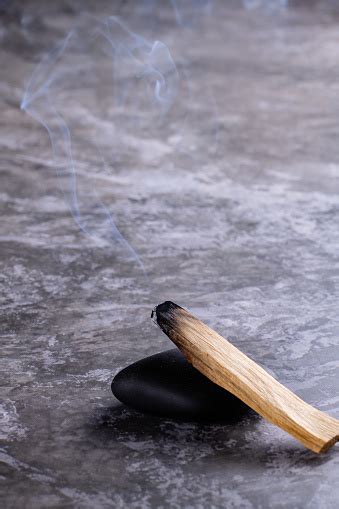 팔로 산토 나무의 막대기는 세계에서 가장 향기로운 나무 중 하나입니다 0명에 대한 스톡 사진 및 기타 이미지 0명 나무 누워있기 Istock