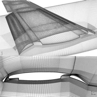 Surface And Cross Section Grid For The Reference Configuration The Download Scientific Diagram