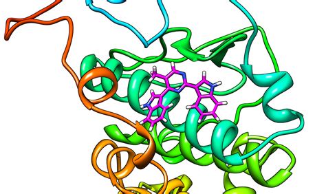 Software Molecular Modeling Lab