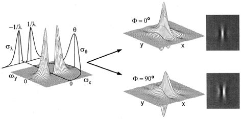 Visual Filters Used In The Model Filters Are Defined In Terms Of Their Download Scientific