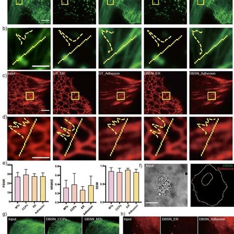 The Performance Of Structure Separation Networks A Structure Download Scientific Diagram