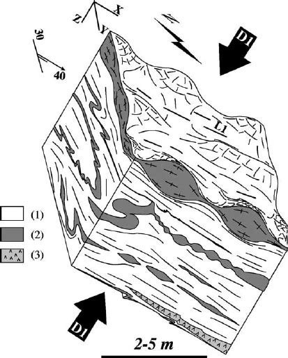 Schematic Block Diagram Showing The Different Types Of Structures Download Scientific Diagram