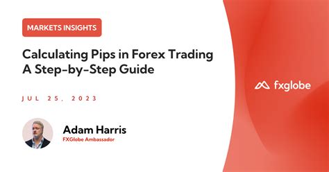 Calculating Pips In Forex Fxglobe