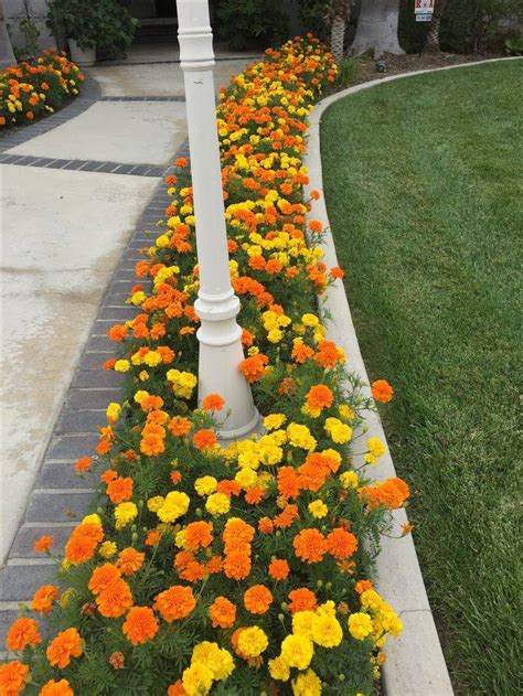 ආදර දිලු ආදර දිලු Added A New Photo