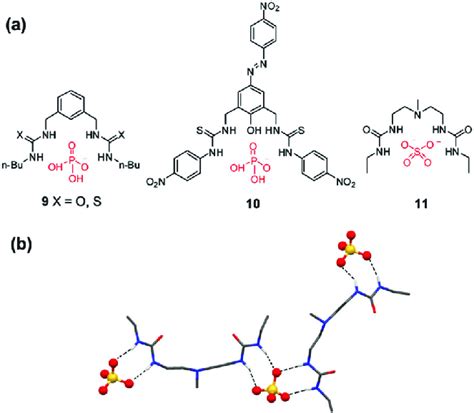 A Representative Structures Of Compounds 9 11 Binding With Download Scientific Diagram