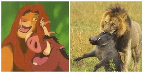 Kl Divergence 공돌이의 수학정리노트 Angelos Math Notes