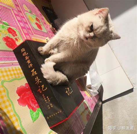 说说强势那个词 知乎