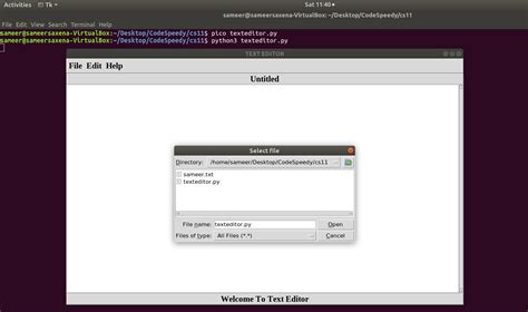 Create A Text Editor In Python Codespeedy