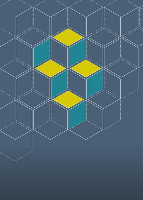 Platform Design Programme