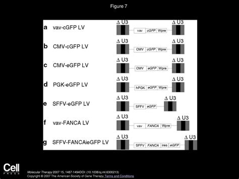 Volume Issue Pages August Ppt Download
