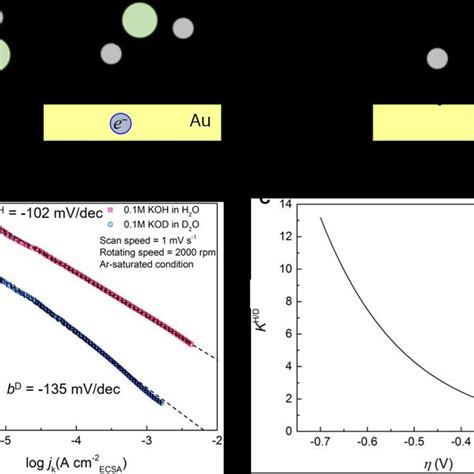 A Schematic Representation Of The Reaction Rate Determining Step Rds Download Scientific
