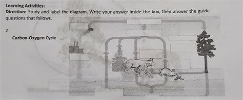 Learning Activities Direction Study And Label StudyX