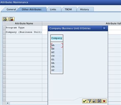 Adding Customer Attributes To Objects In Project A Sap Community