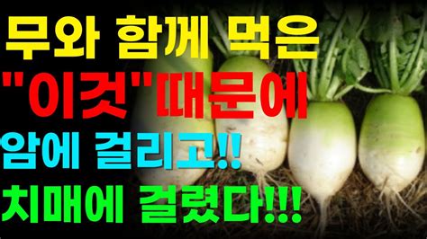 무와 절대로 함께 먹지 마세요 암과 치매에 걸릴 수 있습니다 무와 최악의 궁합 음식 3가지와 최고의 궁합 음식 3가지 효능