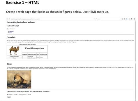 Solved Exercise HTML Create A Web Page That Looks As Chegg
