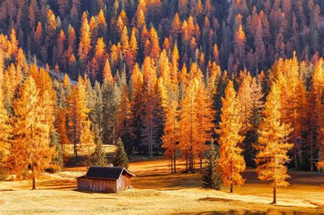 Eric Siglin On Linkedin How To Use Databases Inside Github Actions