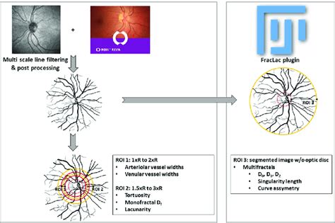 Calculation Of Retinal Vessel Metrics With Mona Reva Software And Download Scientific Diagram