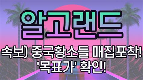 알고랜드 속보중국황소들 매집포착 목표가 확인 Youtube