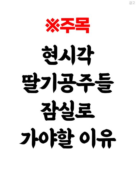 서울핫플레이스 ㅤ 딸기공주들 잠실로 달려가야 할 이유 송리단길 딸기디저트 1티어 앤티크커피