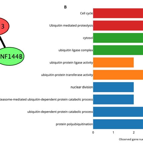 Module Identification Within The Ppi Network A Significant Module Download Scientific