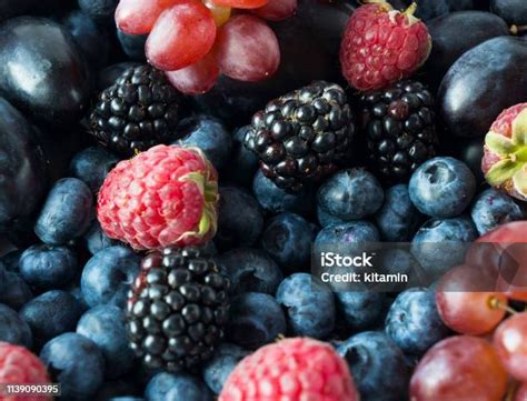 신선한 과일과 열매의 배경입니다 잘 익은 블랙베리 블루베리 매 화와 라즈베리 장과 과일을 섞으 세요 평면도 배경 딸기와 과일 다양 한 신선한 여름 과일 블랙 블루와 핑크