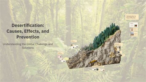 Desertification Causes Effects And Prevention By Keep Moving On Prezi