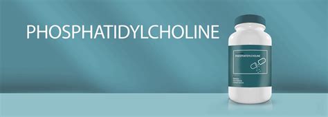 Lecithin Phosphatidylcholine For Cardiovascular Health And Longevity