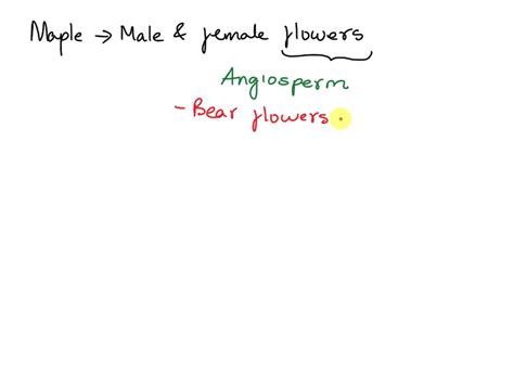 Solved Maple Trees And Tulips Are Classified As Autotrophs Because