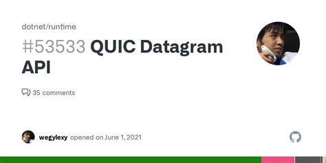 Quic Datagram Api · Issue 53533 · Dotnetruntime · Github