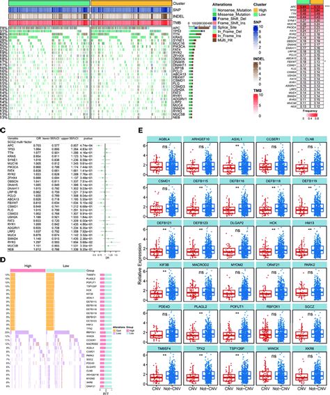 Gene Mutation And Copy Number Variation Analysis A Mutation