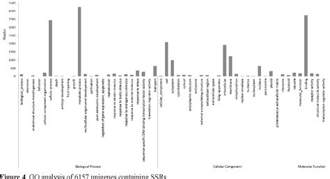 Figure 1 From Transcriptome Analysis Of Potential Simple Sequence