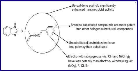 Binding Interaction Of Compound 11 In Green Colour At The Binding Site