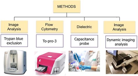 A Novel Approach Using Real Time Dynamic Imaging Analysis To Monitor