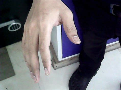 Hand Object Detection Dataset By Objectdetection