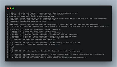 3 совета по использованию Git для начинающих