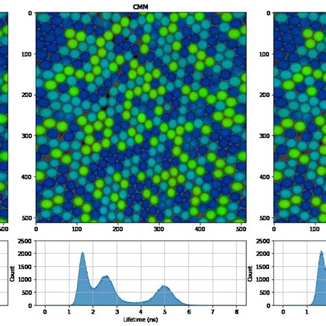 Comparison Of Lstm Cmm And Ls Fitting On Experimental Data The Download Scientific Diagram