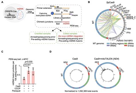 Nature子刊：北京大学胡家志团队揭示基因编辑的新风险——导致线粒体dna片段整合到细胞核基因组 生物研究专区 生物谷