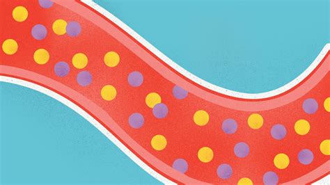 How Triglycerides And Cholesterol Are The Same Different Christ Memorial