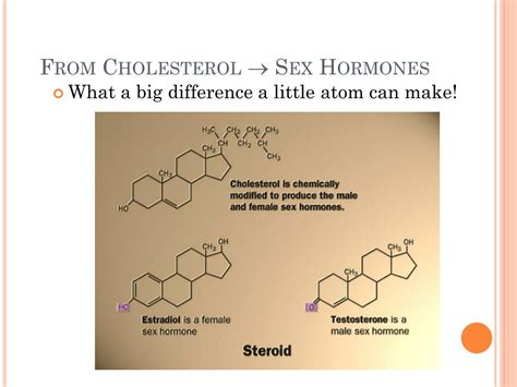Ppt Lipids Powerpoint Presentation Free Download Id2720690