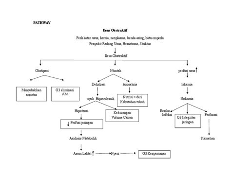 Pathway Ileus Obstruktif