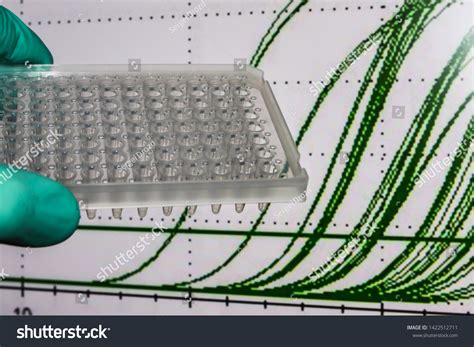 125 Pcr Curve 이미지 스톡 사진 및 벡터 Shutterstock